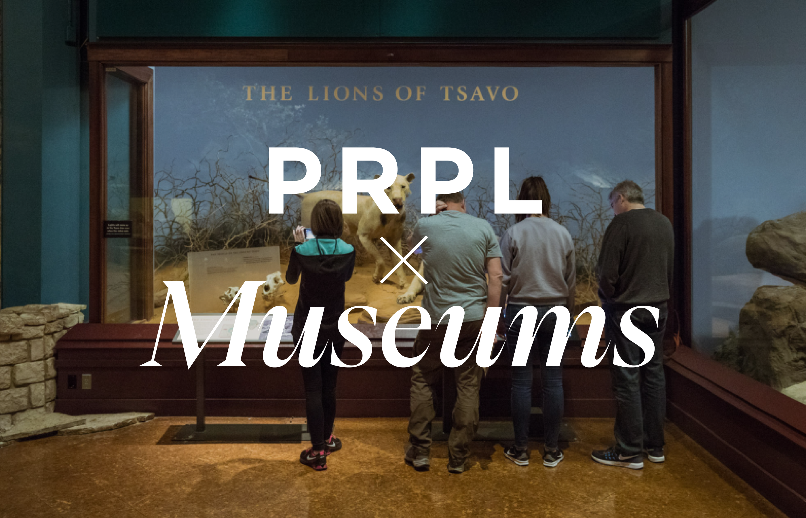 PRPL and Museums: A Partnership Built on Creativity and Impact | Case ...